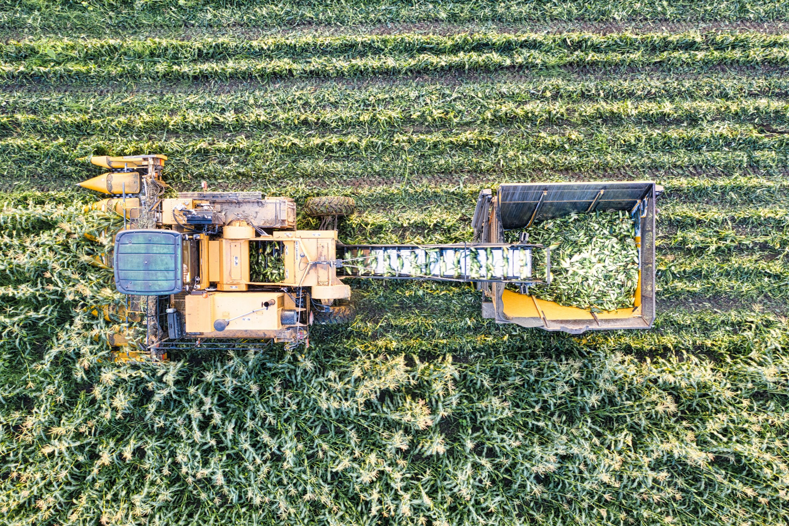 10 Disadvantages Of Food Miles & Why Should You Reduce It?