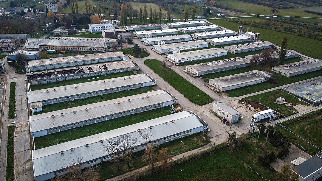 8 Effects Of Factory Farming On The Environment & Its Causes